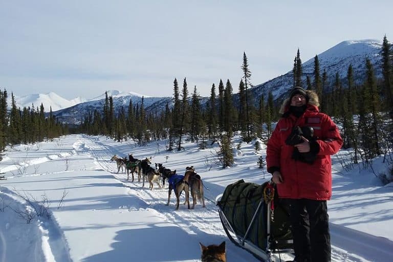 The Yukon - Experience the wilderness & observe northern wildlife